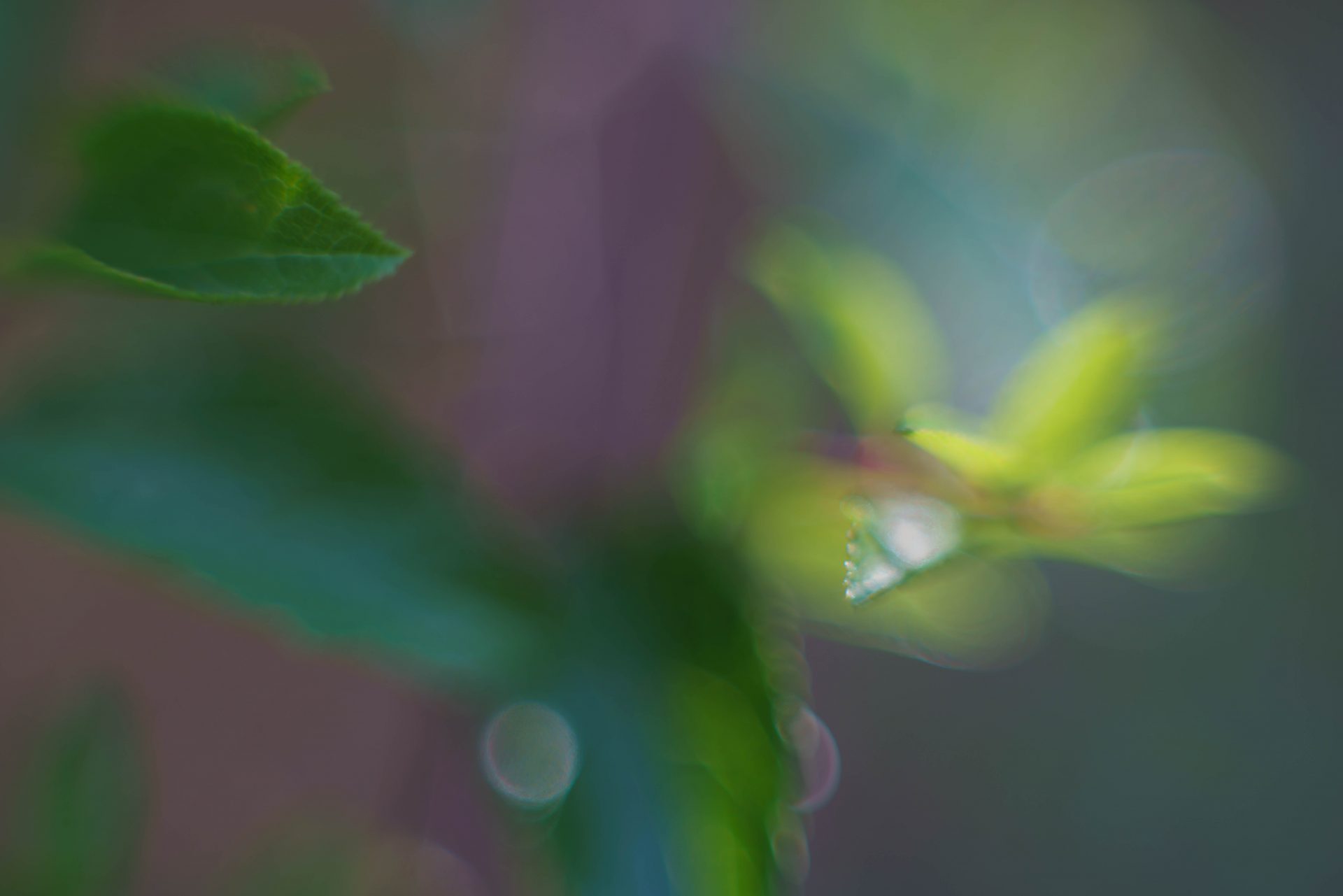 Silke Wolf – Fotokreis VHS Mosbach