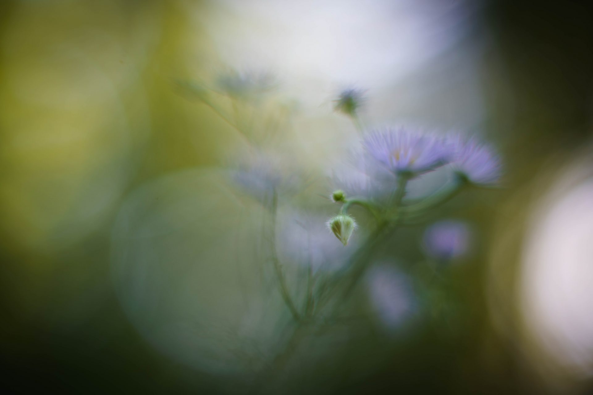 Silke Wolf – Fotokreis VHS Mosbach