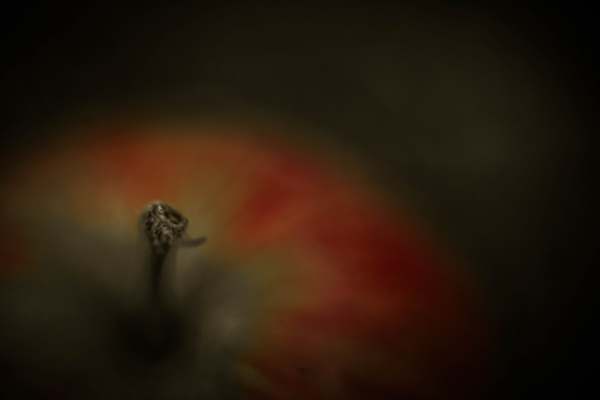 Silke Wolf – Fotokreis VHS Mosbach